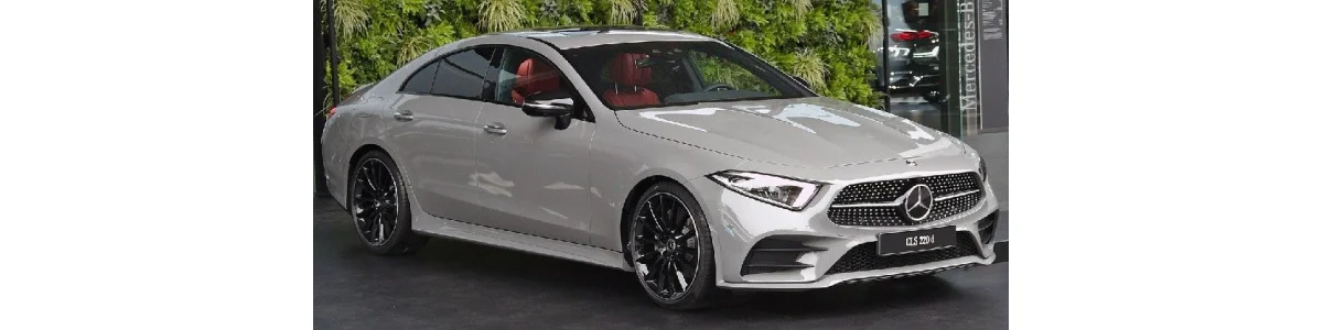 Mercedes Benz Clase CLS C257, 2019